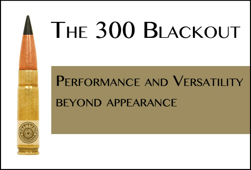 300 AAC Blackout - CHAMBER IT